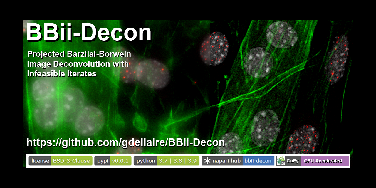 GitHub - gdellaire/BBii-Decon: Projected Barzilai-Borwein Image Deconvolution with Infeasible ...