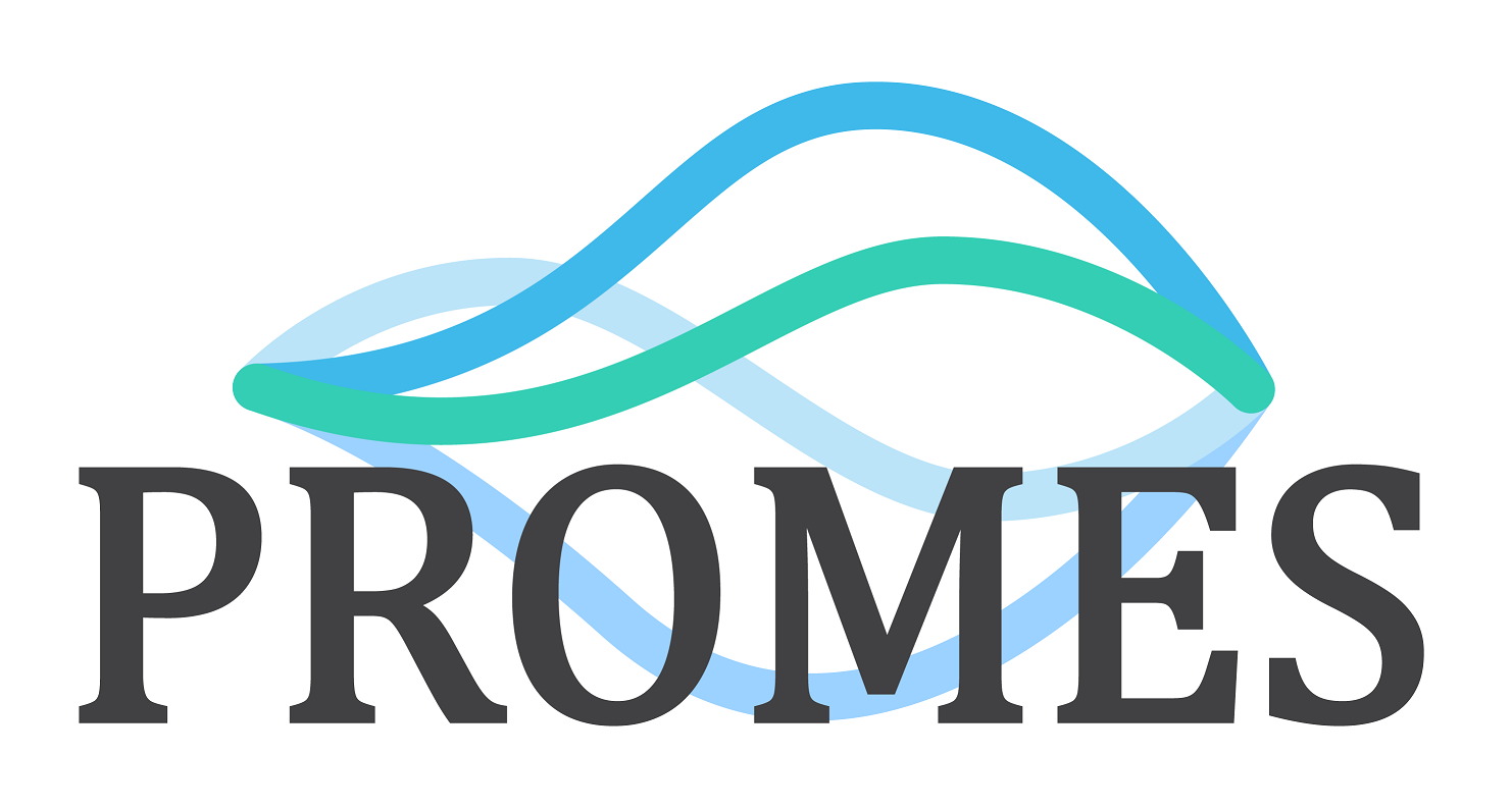 GitHub - saduineveld/Promes_toolbox: The Promes toolbox solves DSGE ...