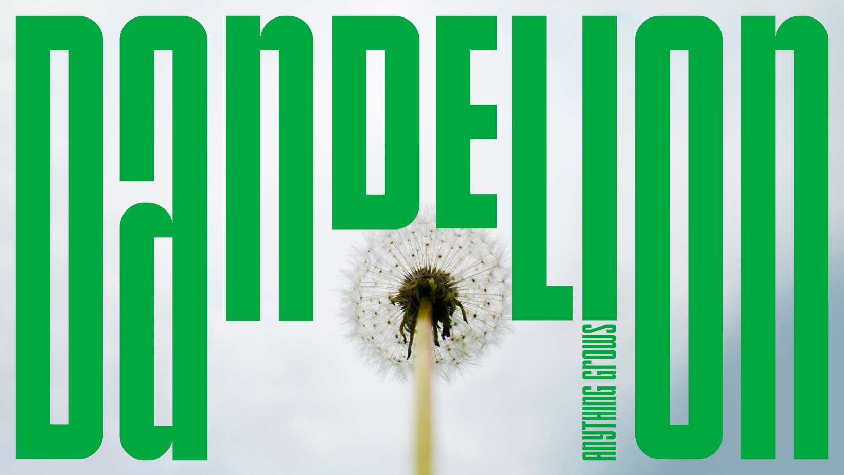 GitHub - Dandelion-dev-team/dandelion: Data collection and visualisation platform for schools