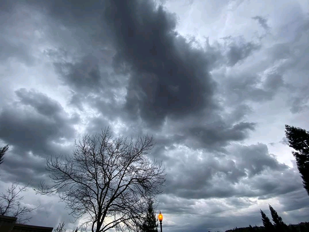 GitHub - Silex01/Translator: Help translate