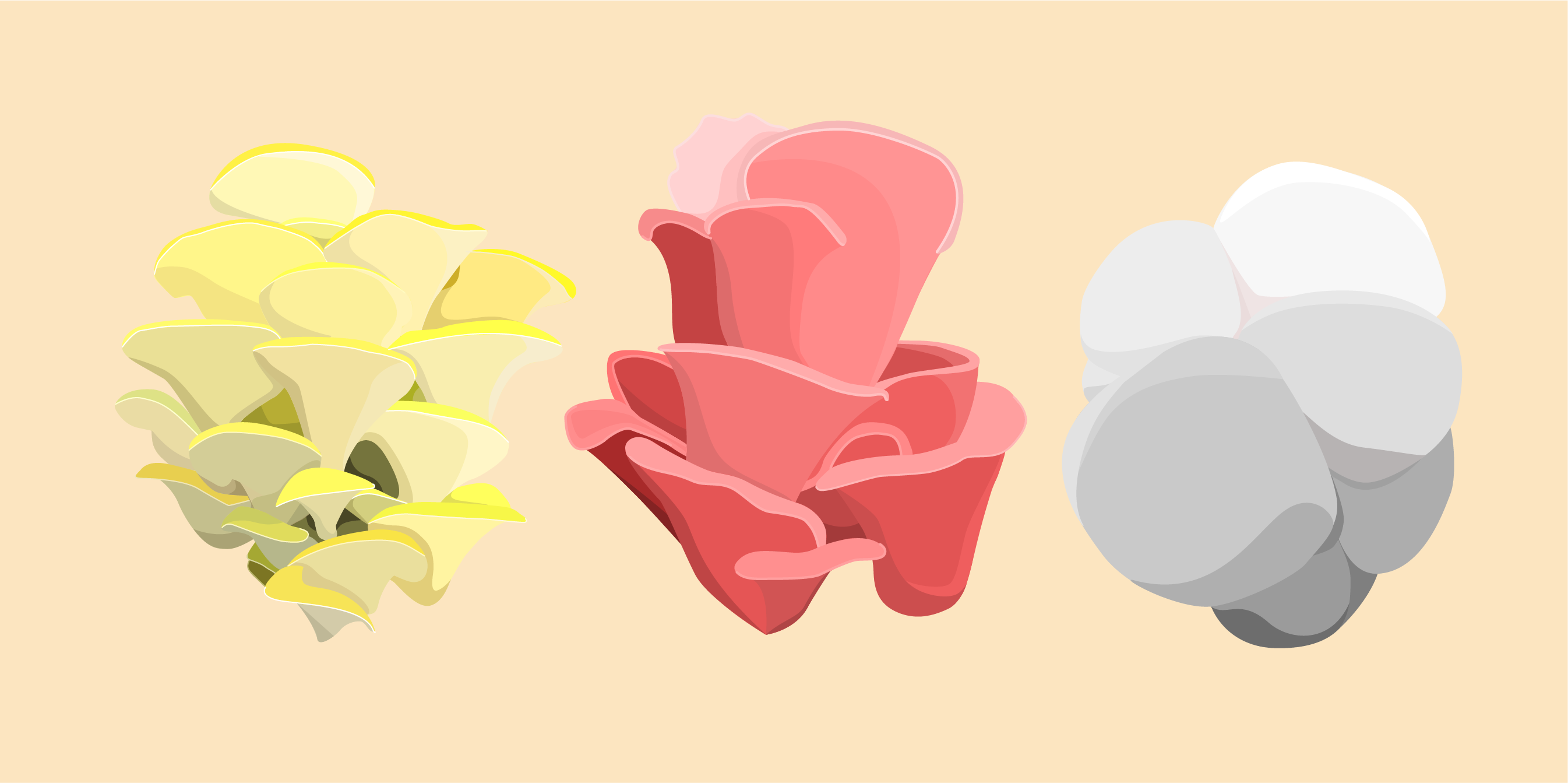 mushroom · GitHub Topics · GitHub mushroom · GitHub Topics · GitHub