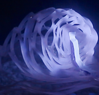 GitHub - morphing-matter-lab/Underwater-Morphing-Beads: Grasshopper and Rhino 7