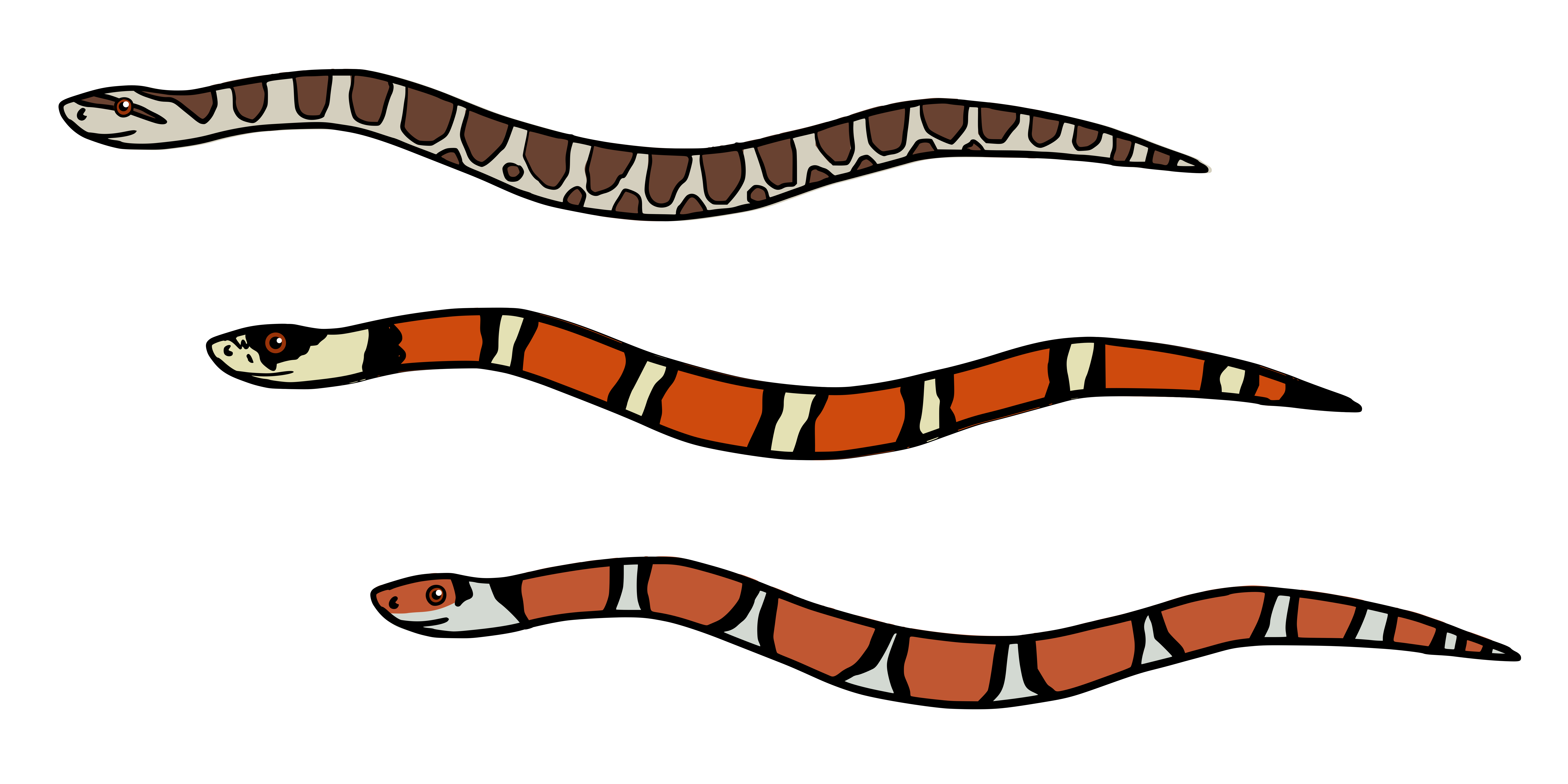 GitHub - eachambers/ksmo_lampro: Scripts for analyses and figures for Chambers et al. (2023).