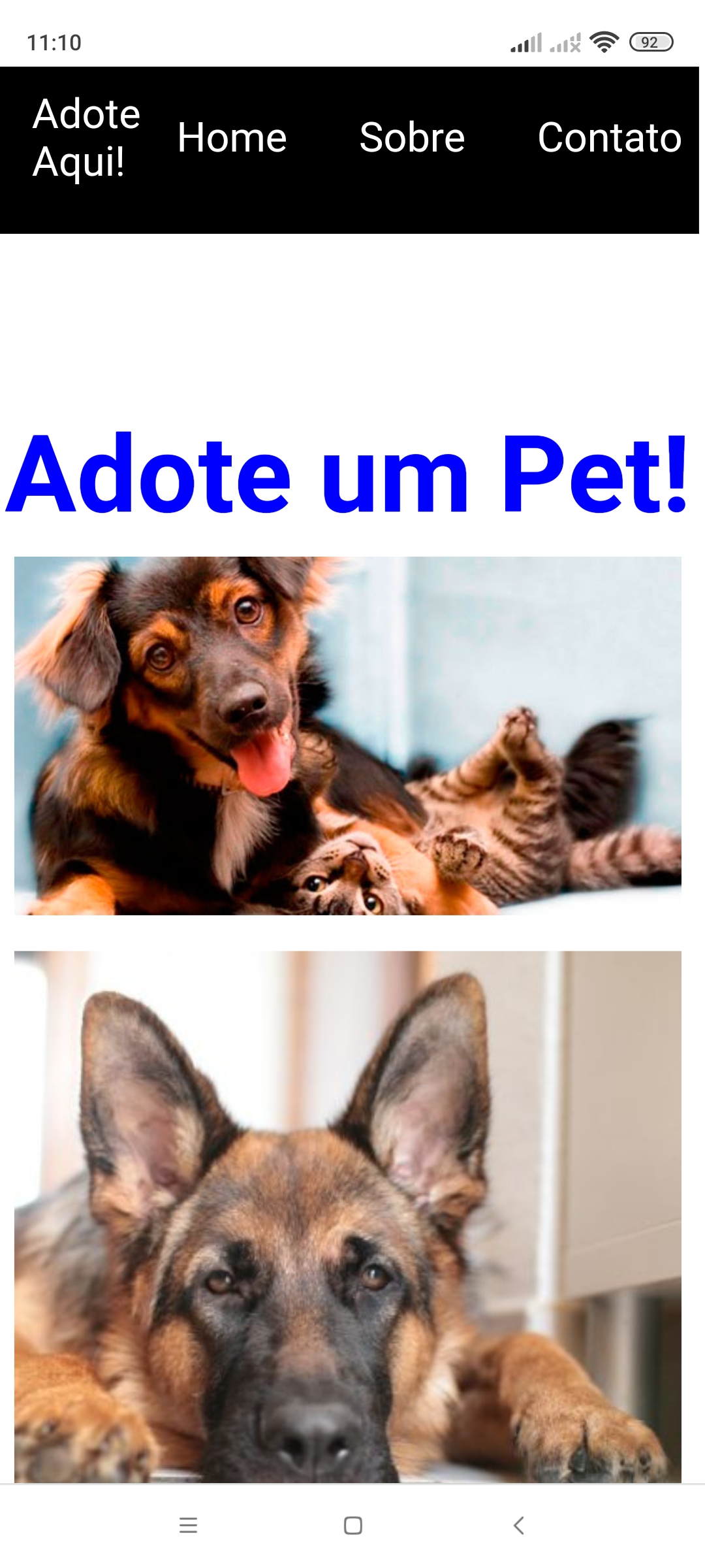 GitHub - diegoed1/Projeto-Adote-Aqui