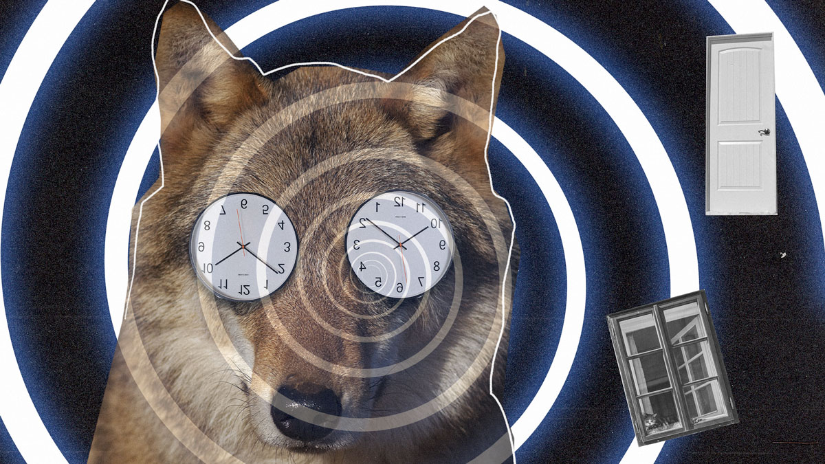 GitHub - code-423n4/2022-01-timeswap