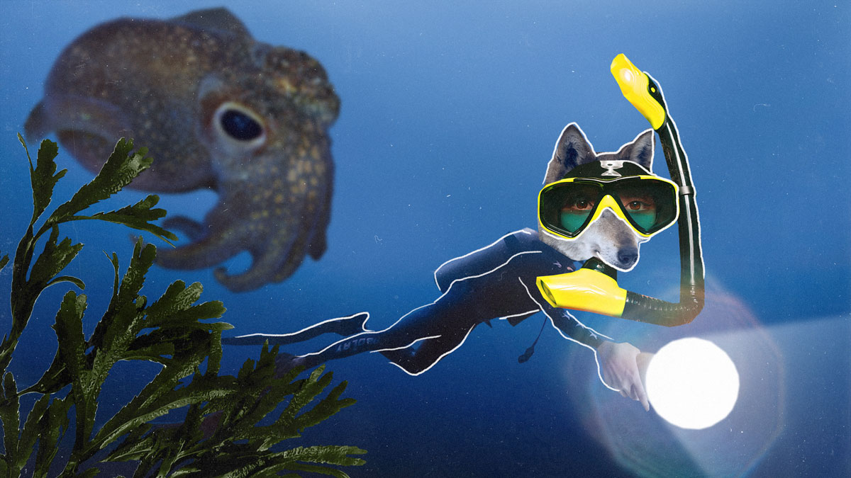 GitHub - code-423n4/2022-01-xdefi