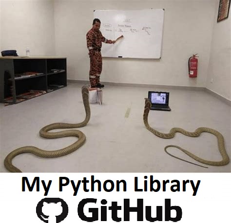 GitHub - pascal-gerber/Library