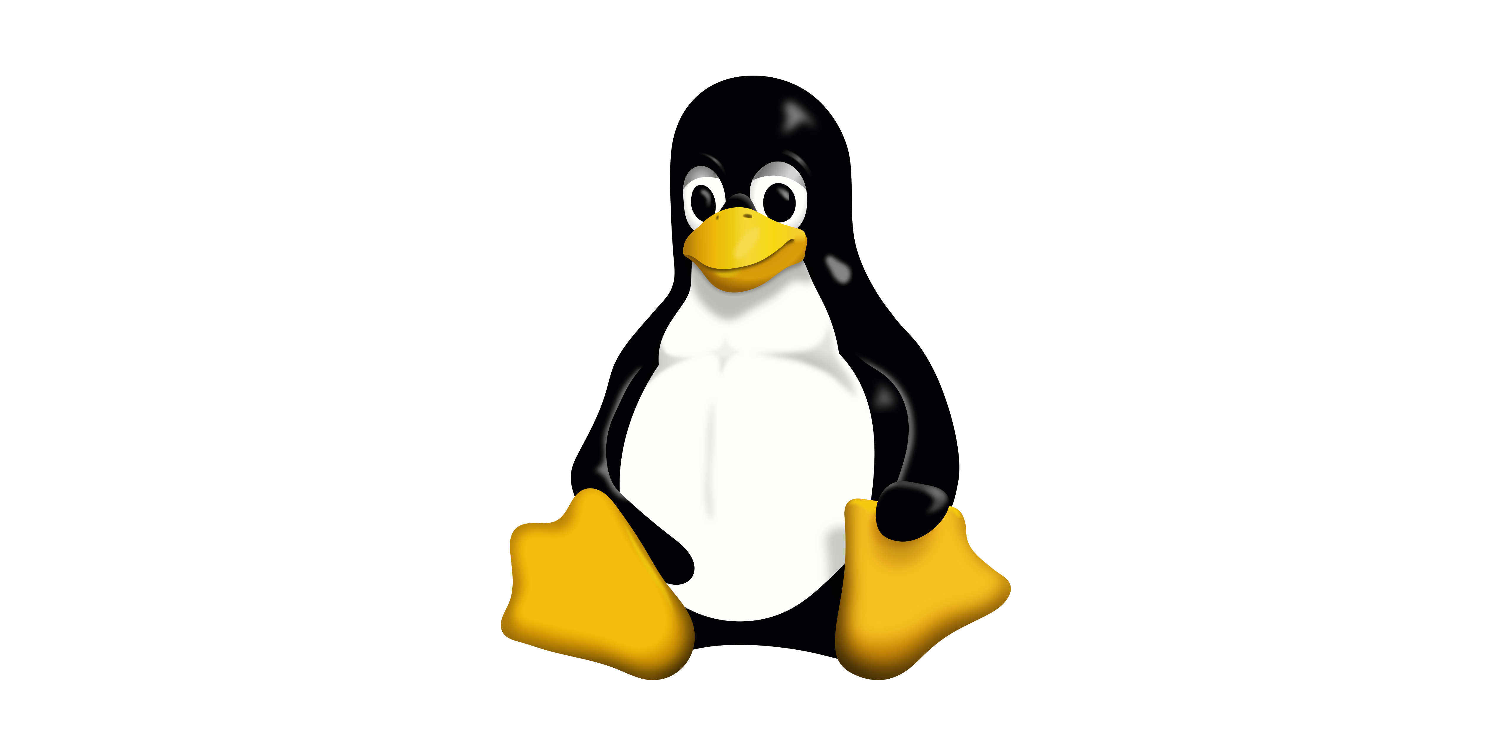 GitHub - rcalixte/rcalixte: My GitHub Profile