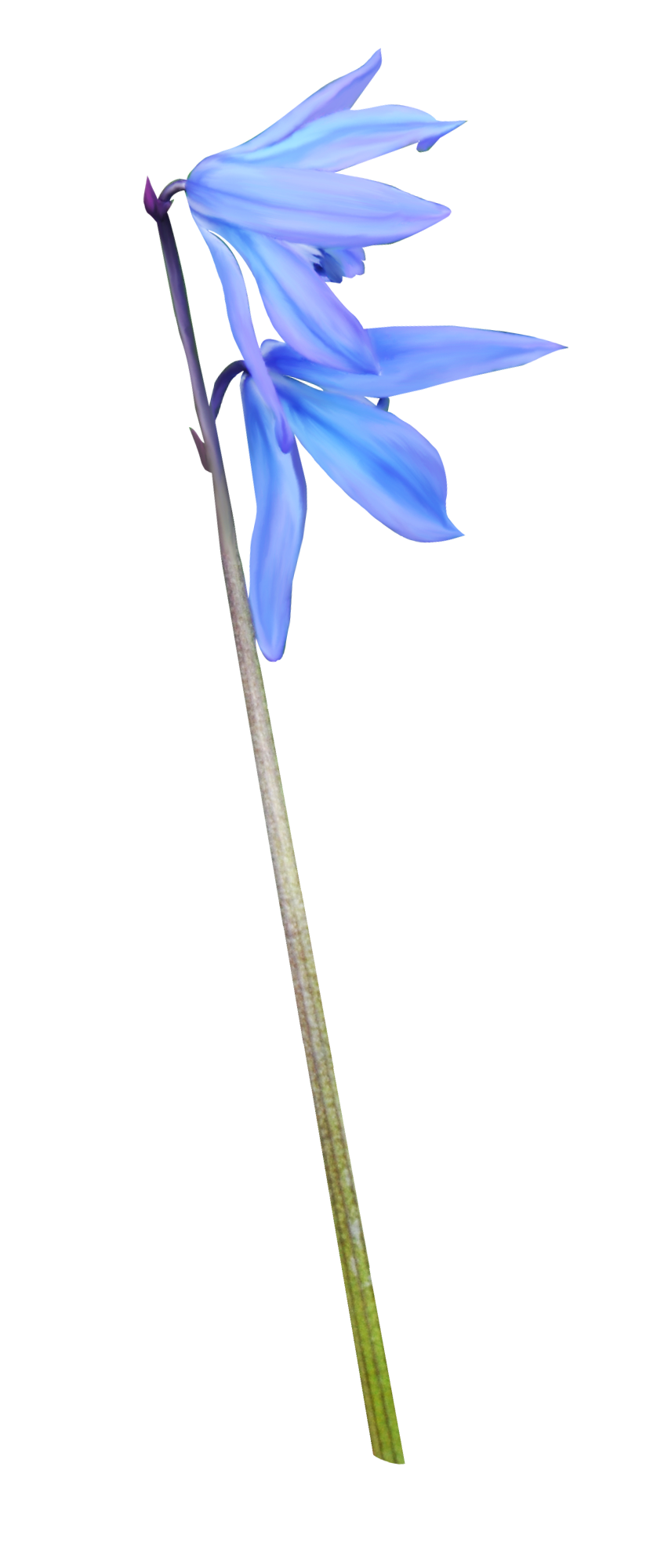 GitHub - matveynator/rigel: Email 2.0 server