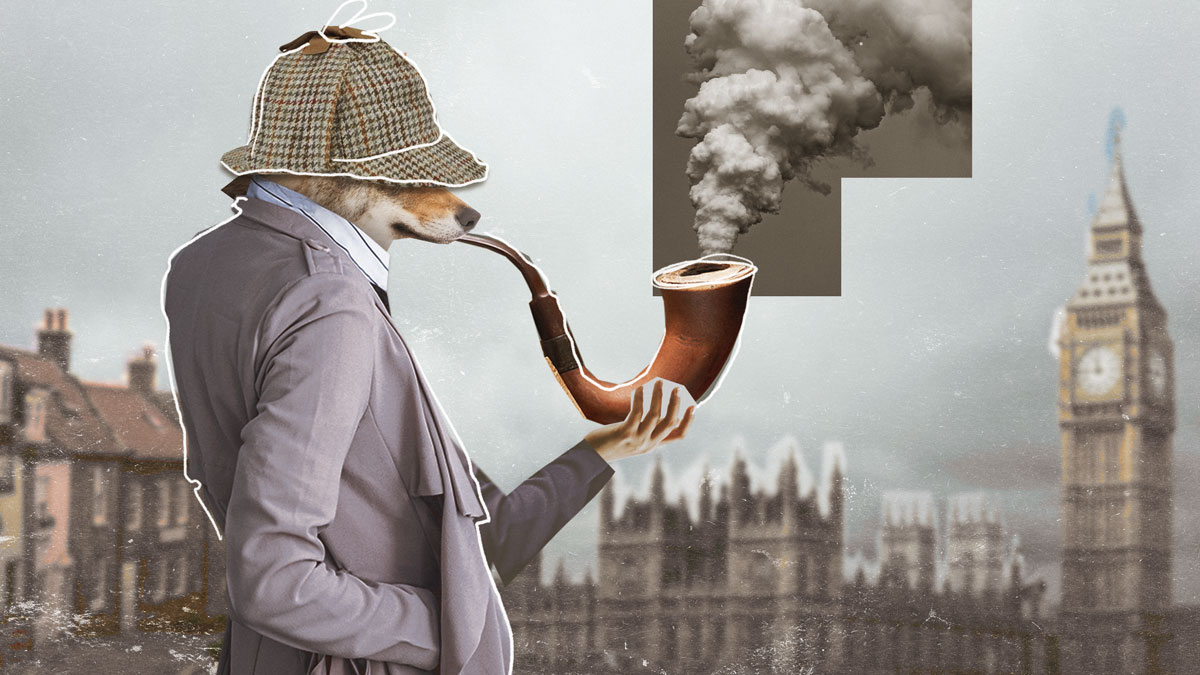 GitHub - code-423n4/2022-01-sherlock-findings