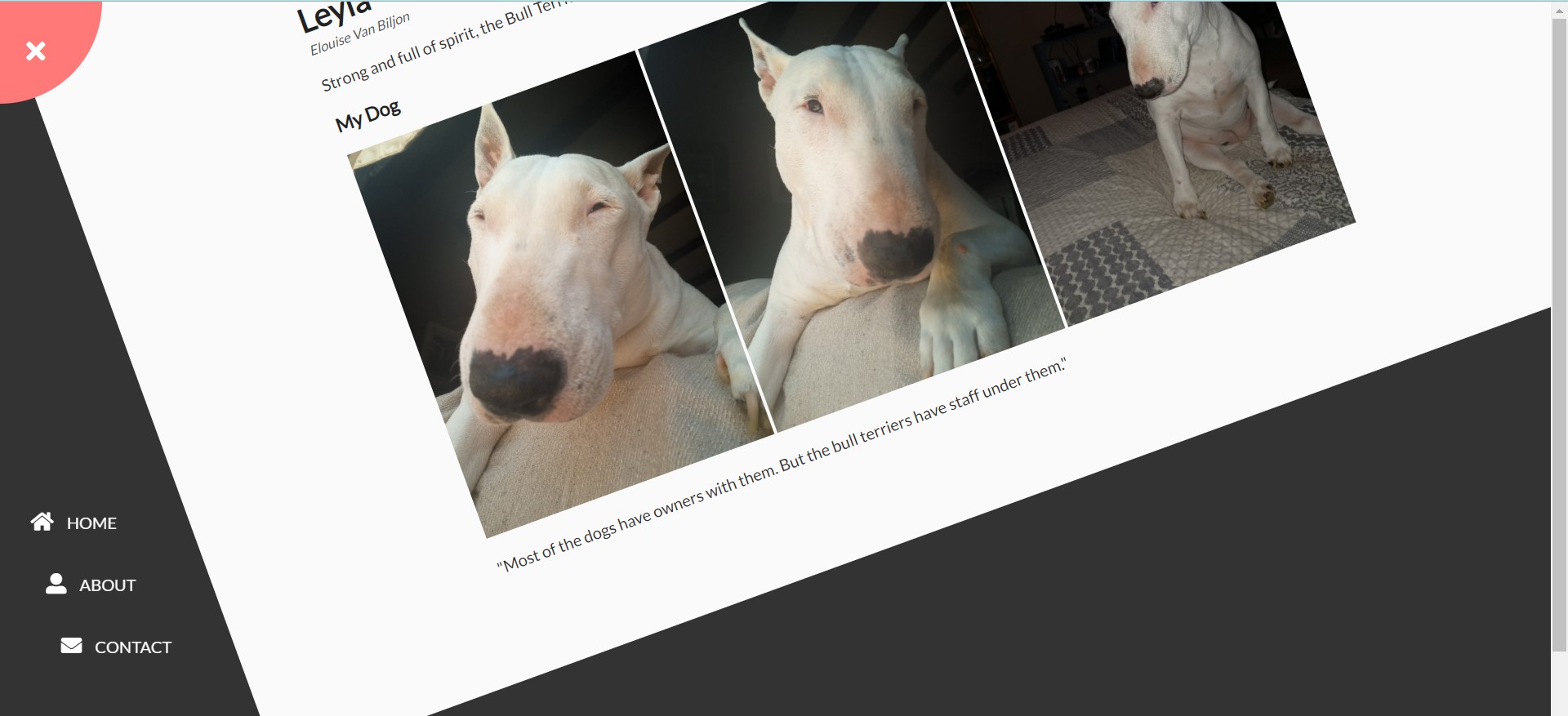 GitHub - Elo2bear/My-Dog-page