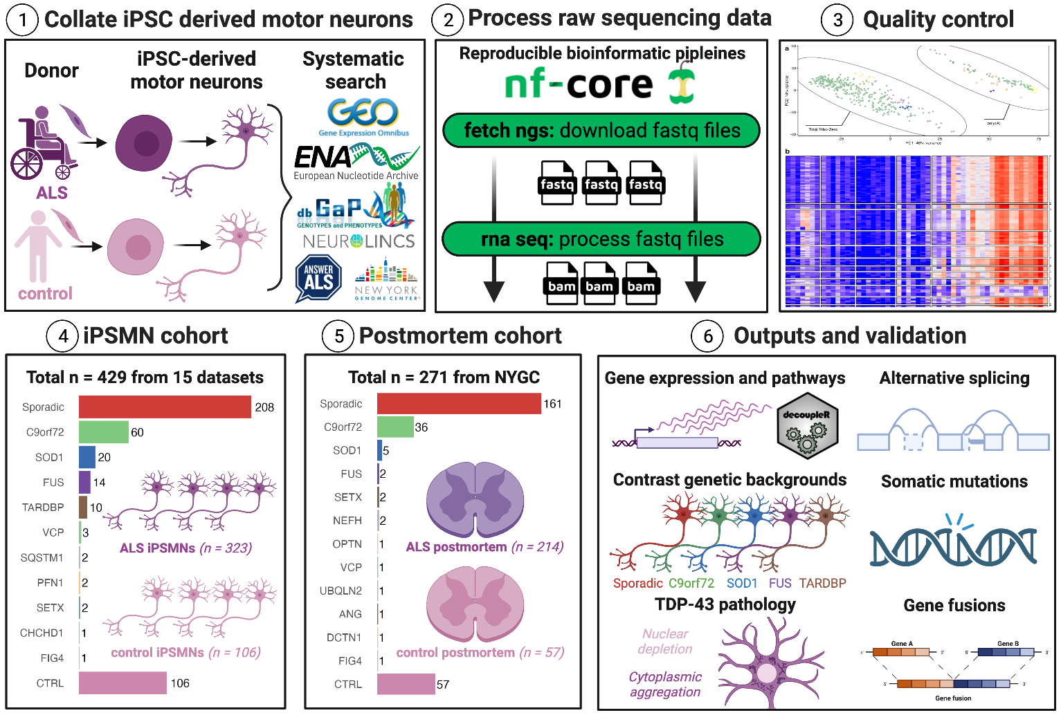 GitHub - ojziff/als_genome_instability: Meta-analysis of ipsc-derived motor neurons in ALS