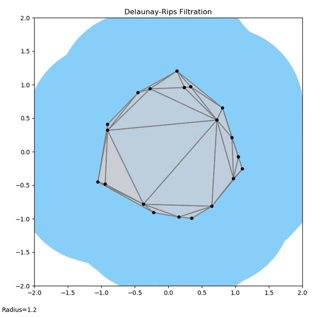 GitHub - amish-mishra/cechmate-DR: TDA: Custom filtration constructors for Python