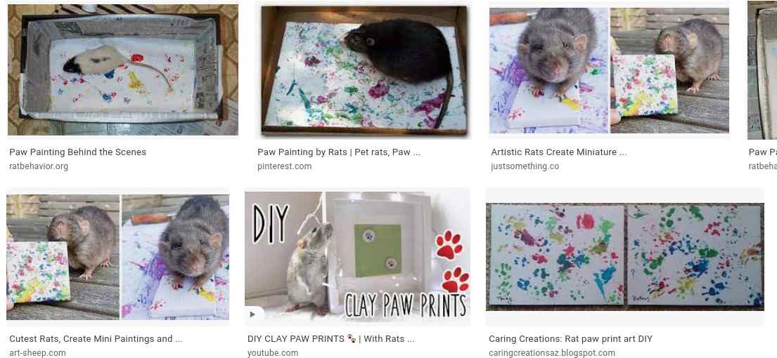 GitHub - isaranova/ratlapator: VIN project