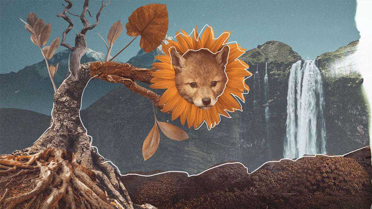 GitHub - code-423n4/2022-02-aave-lens-findings