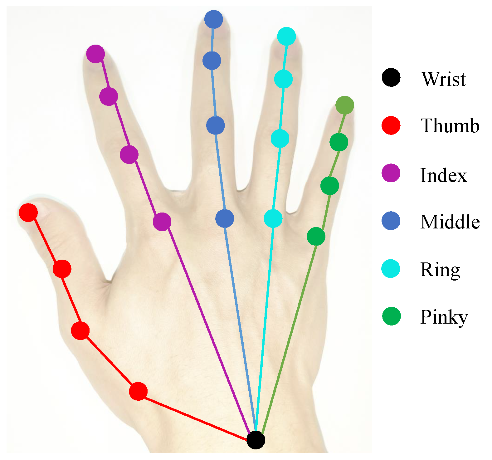 enhancing-2D-hand-pose-estimation-and-tracking-on-surgical-videos-using-attention-mechanism ...