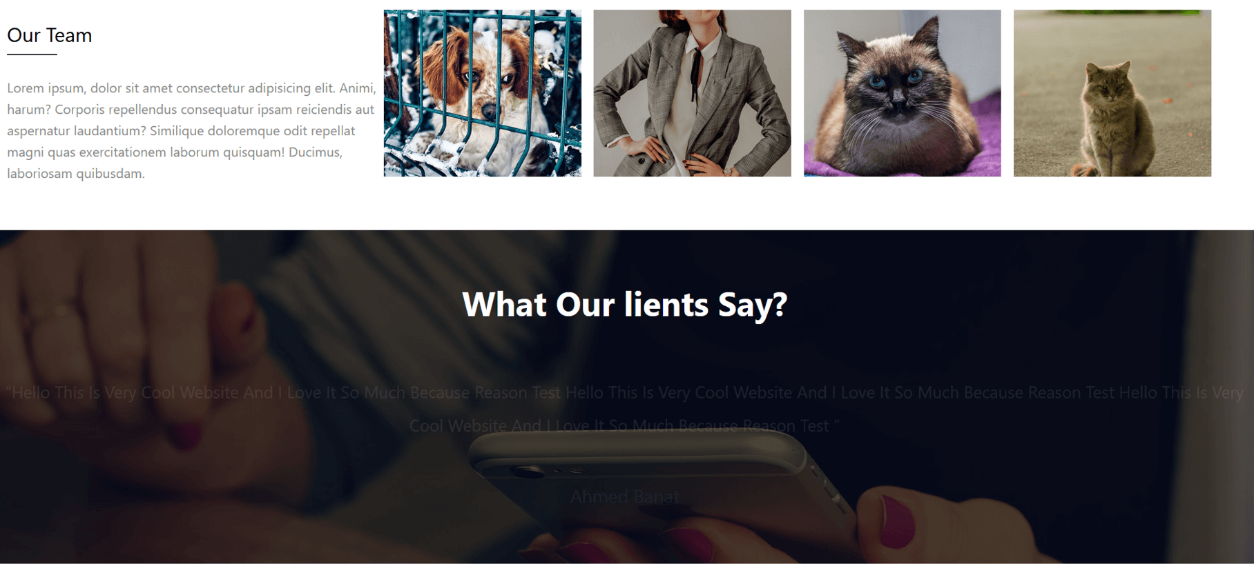 GitHub - anasbanat0/classic_portfolio: This is my first classic portfolio