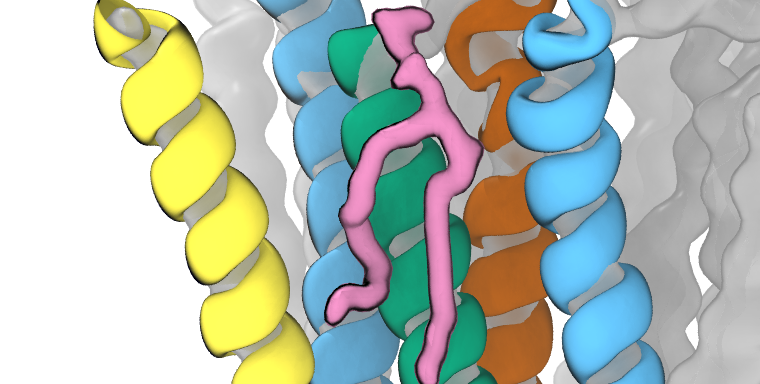 GitHub - BranniganLab/ELIC-phospholipid-identification: Data and ...