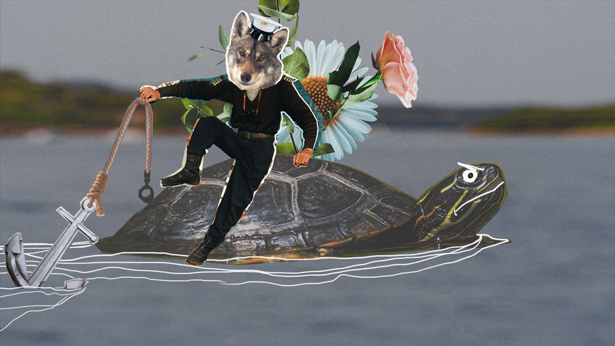 GitHub - code-423n4/2022-02-anchor-findings