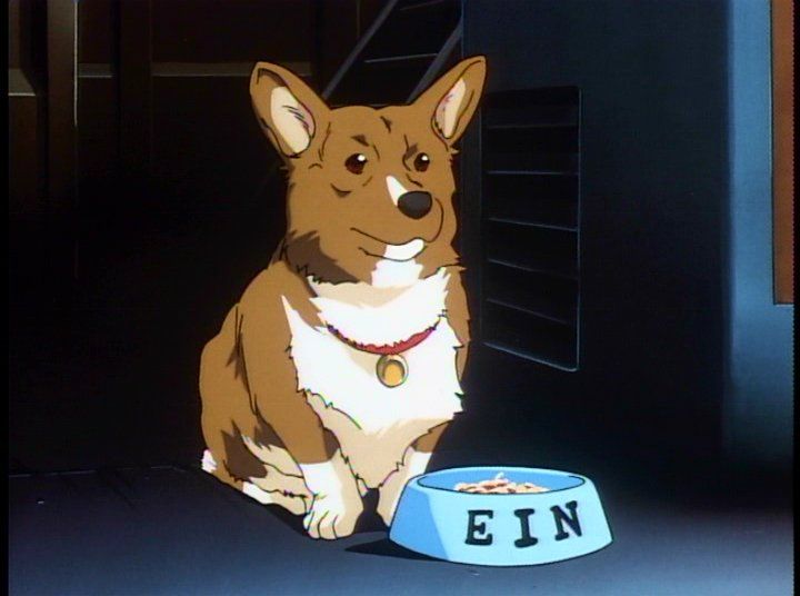 GitHub - mattdood/graph-ein: Graph DB with SQLite (not for prod)