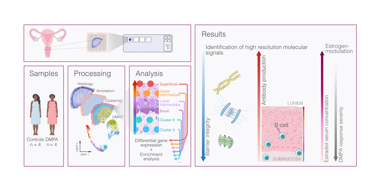 GitHub - vildeka/Spatial_DMPA: Contains all code related to the publication "Spatial ...