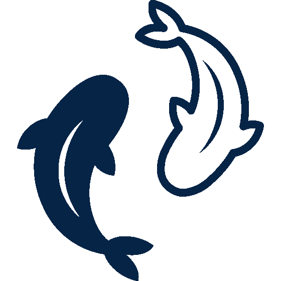 GitHub - AxelGeist/fischer-random-chess