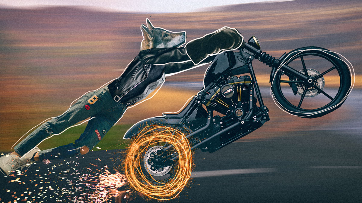 GitHub - code-423n4/2022-02-tribe-turbo