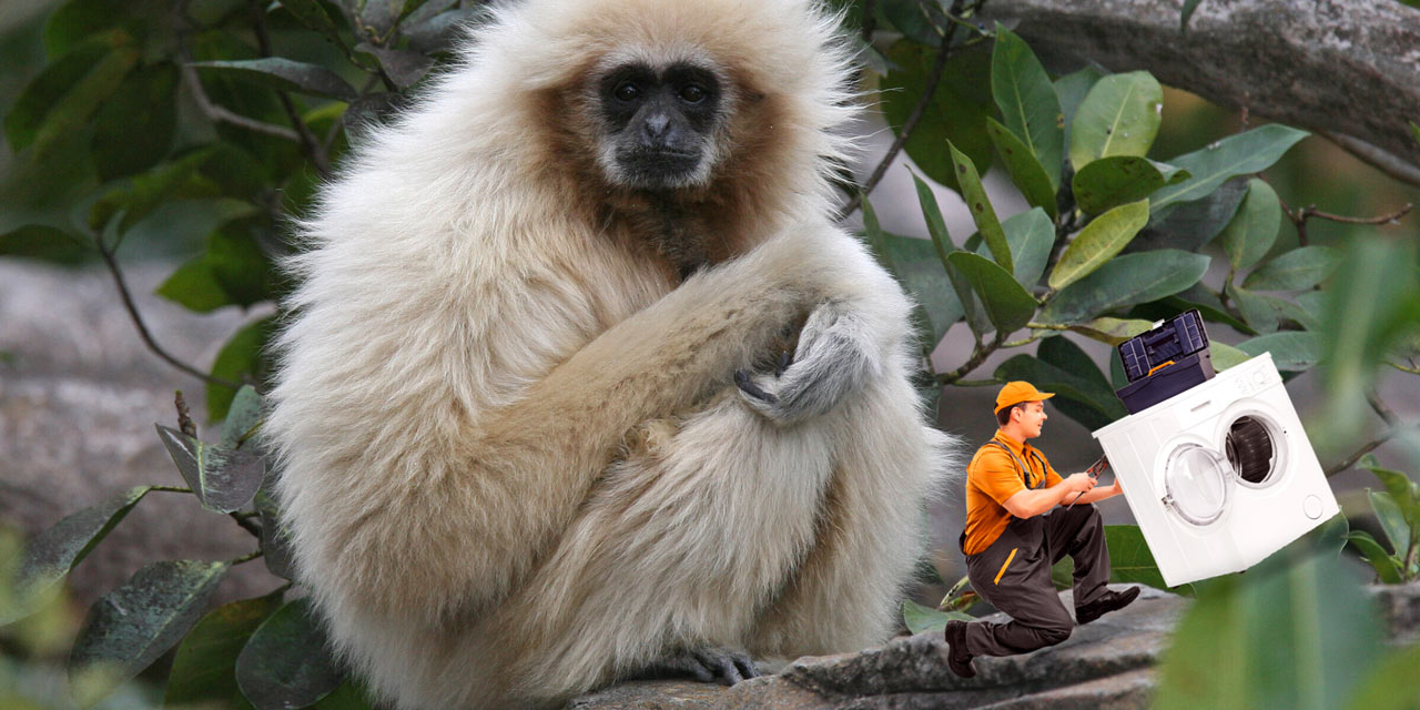 GitHub - dEnis-ponti/housekeeep--with-scss