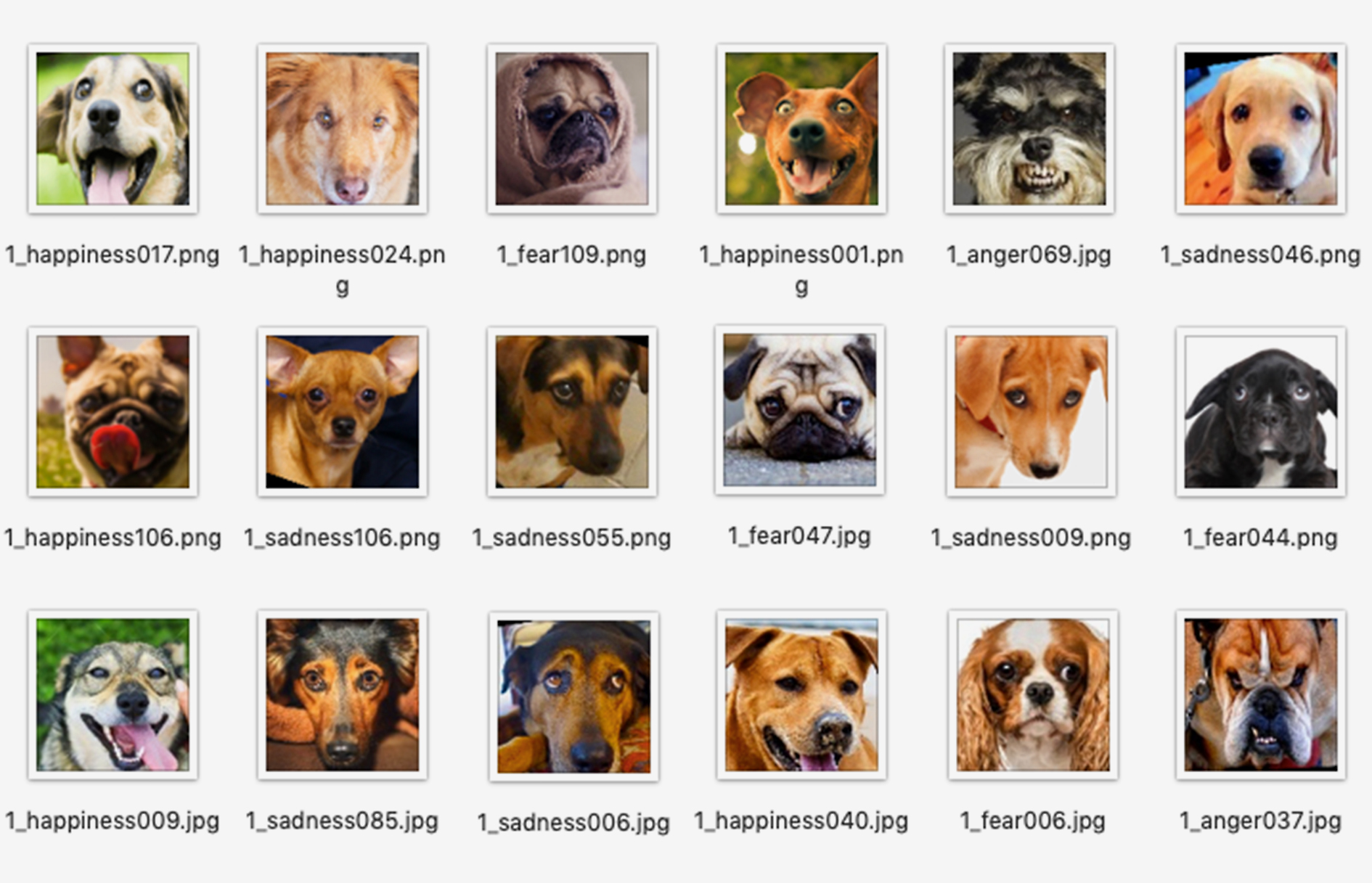 GitHub - Rangow4562/Dog_emotion_identification_system