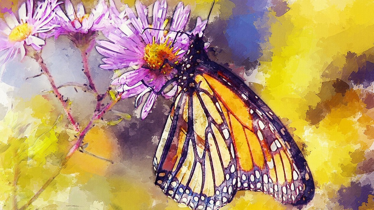 GitHub - BiodiversityDataScienceCorp/milkfli-mapping: A repository for creating occurrence and ...