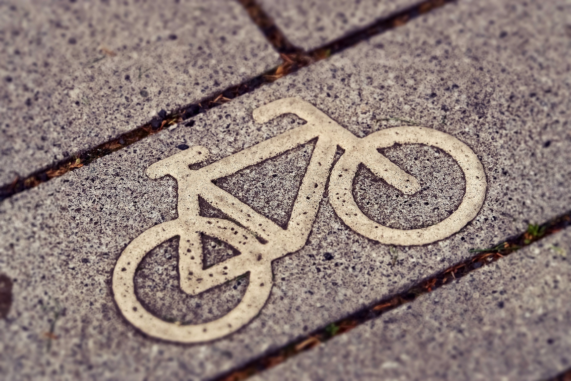 GitHub - closenton/Cyclistic_Case_Study: A project website for a case ...