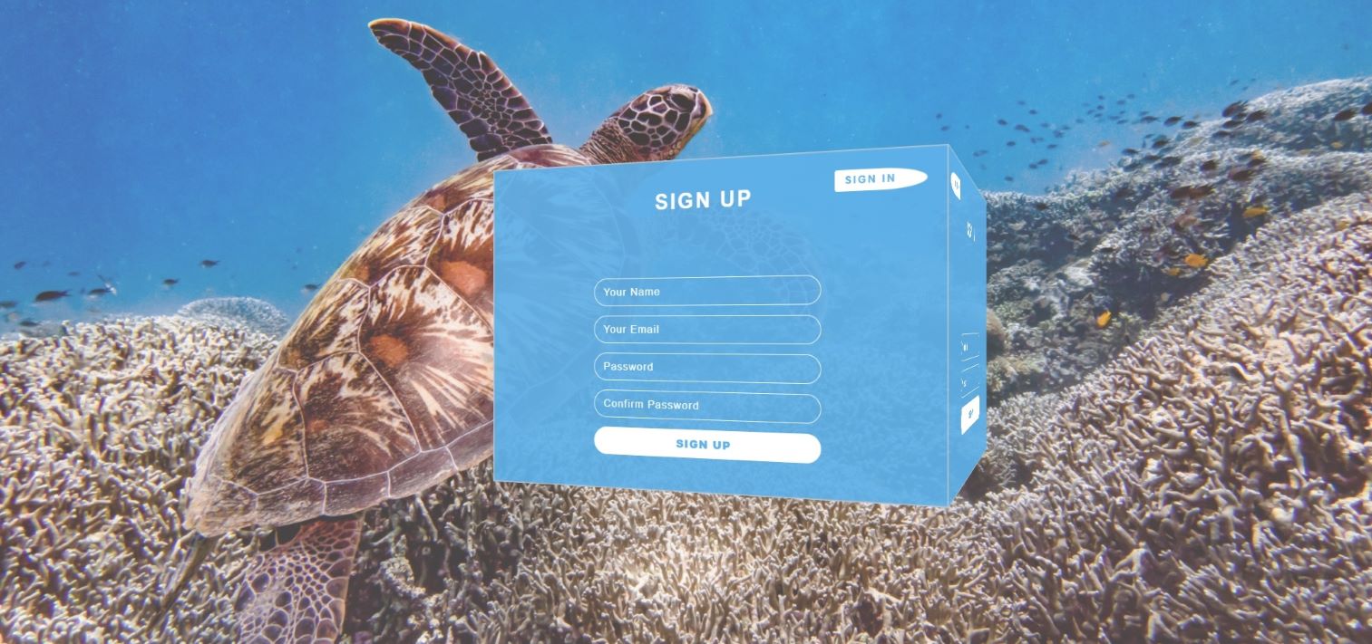 GitHub - NetaJM/3D-Form: A tropical 3D SingIn/SignUp From