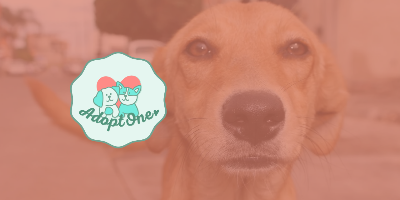 GitHub - certainlyWrong/AdoptOne: Projeto para a disciplina de ...