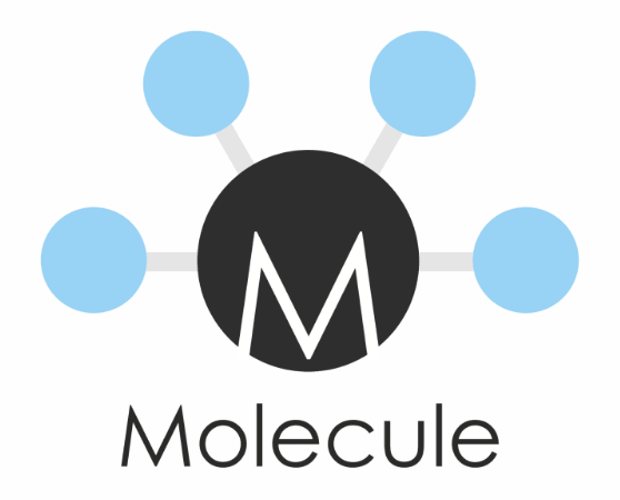 GitHub - therayy/Molecule