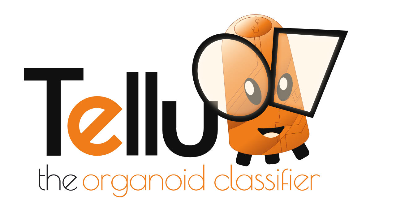 GitHub - evdomene/tellervo: Organoid Classifier (Yolov5)