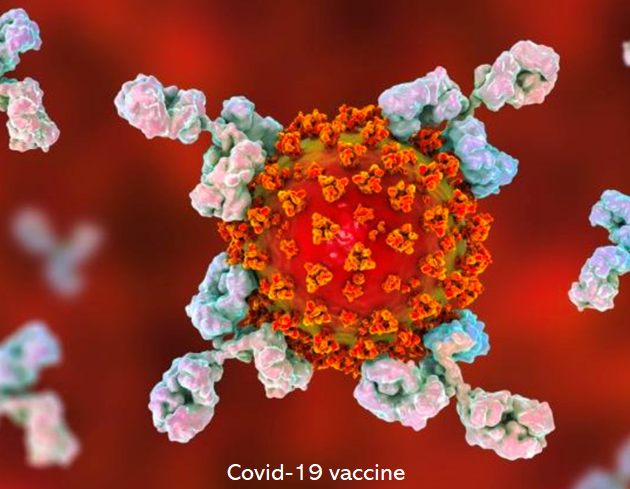 Github Rozario29 Sql Covid 19 Data Exploration Analysis Portfolio To