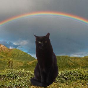 bashscriptintg · GitHub Topics · GitHub