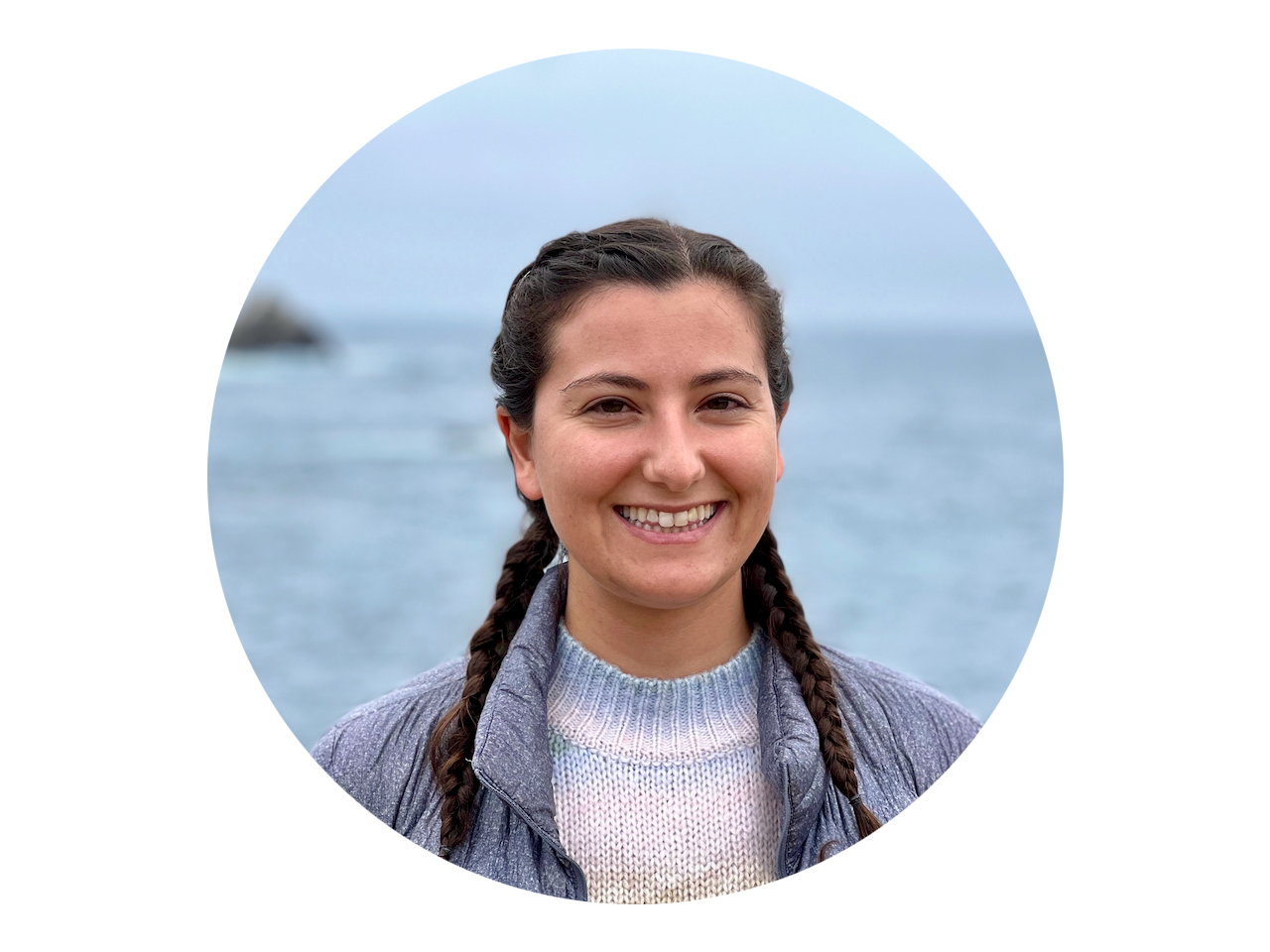 air-quality-data · GitHub Topics · GitHub