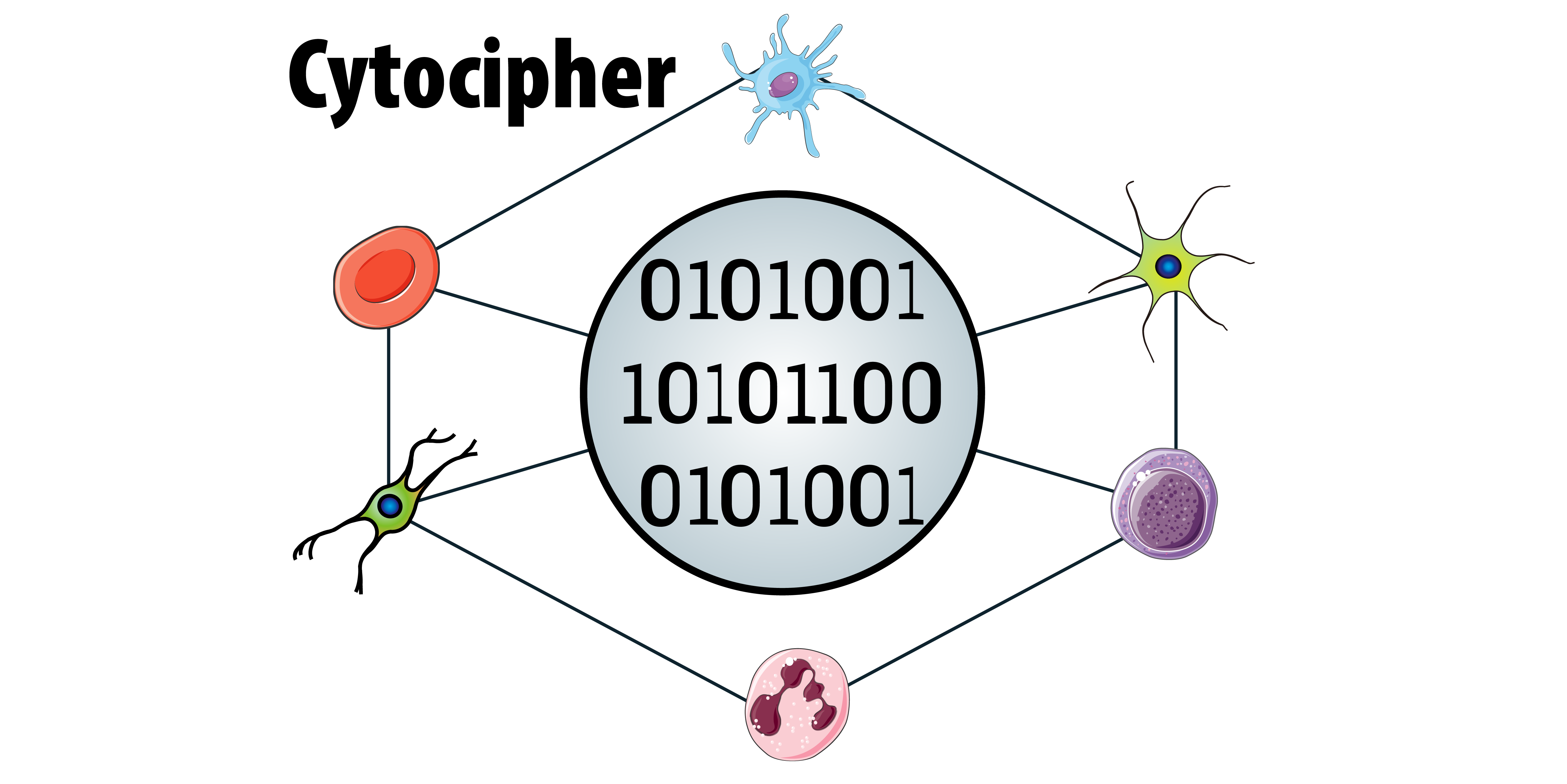 GitHub - BradBalderson/Cytocipher: Analysis methods for analysing single cell RNA-seq data ...