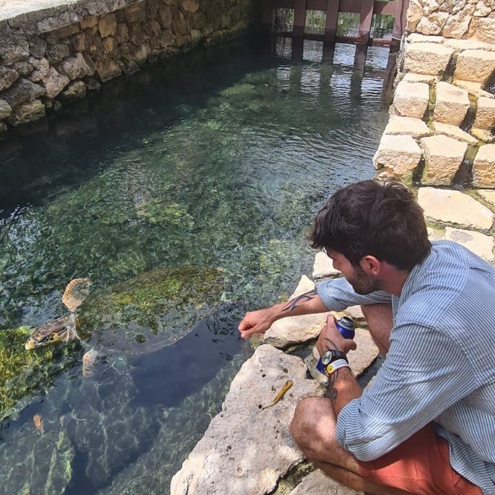 GitHub - NicholasCatani/NicholasCatani: Config files for my GitHub profile.