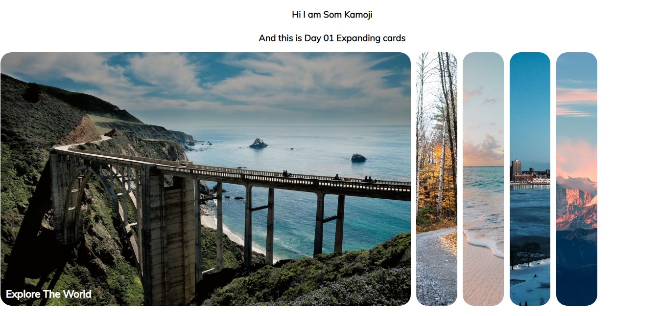 GitHub - SomKamoji/50projects50days