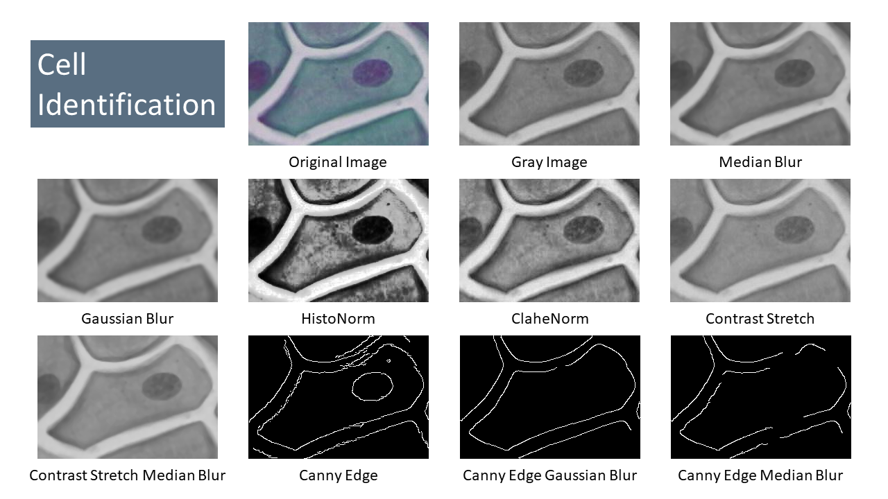 Cell-Identification-on-Smear-Cell/cell_identification.py at main ...