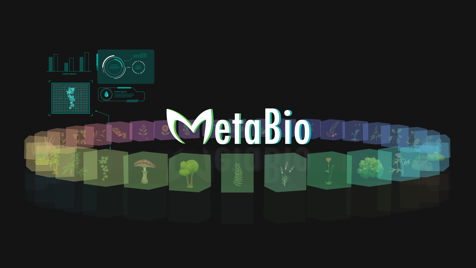 GitHub - viefam/metabio-smart-contracts: Public Smart Contracts for MetaBio