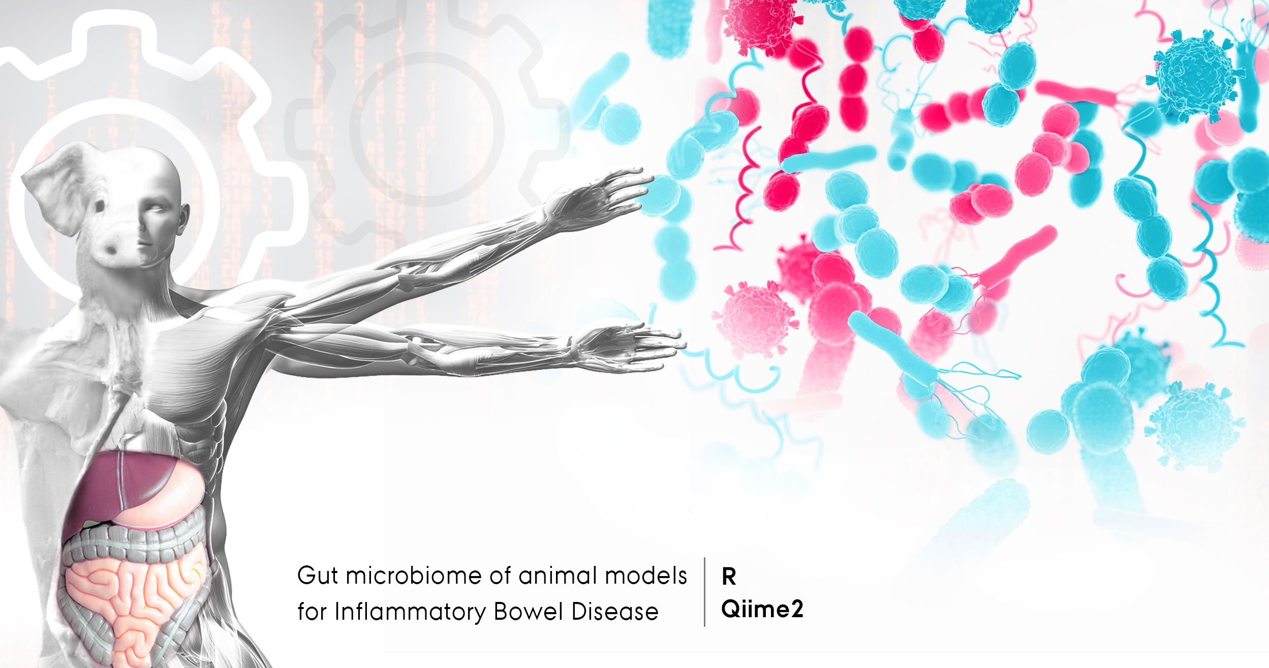 GitHub - farhadm1990/16S-rRNA-amplicon: Analysis of (gut) microbiome in Qiime2 and R.