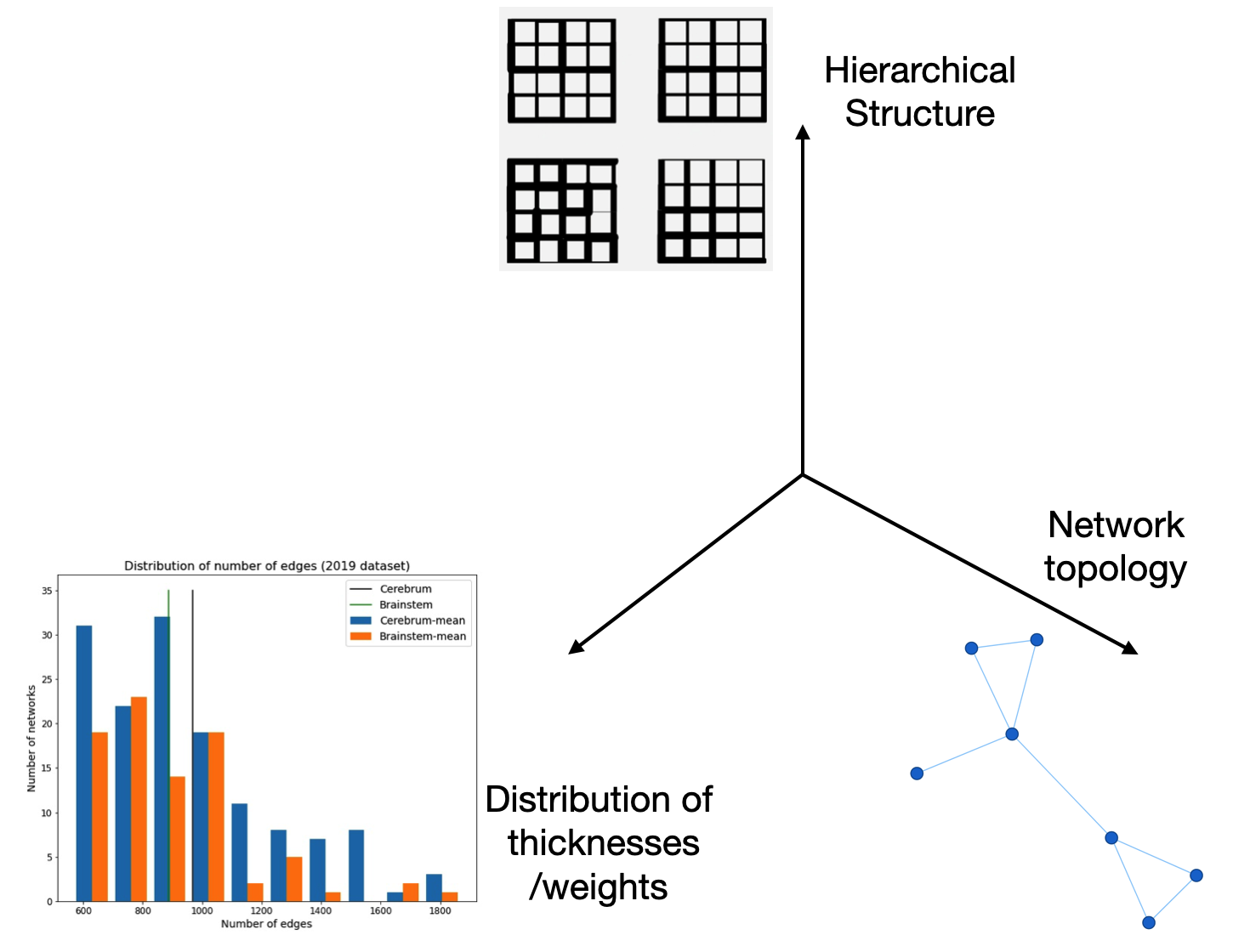 GitHub - sgmark3/TDA-ML-Brain-Vasculature