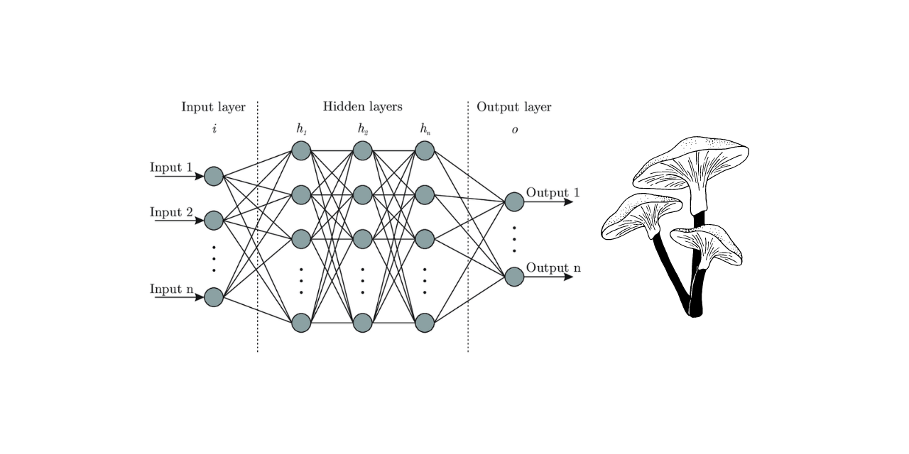 GitHub - batuhansahincanel/UCIsMushroomDataSet: a non-scientific study ...