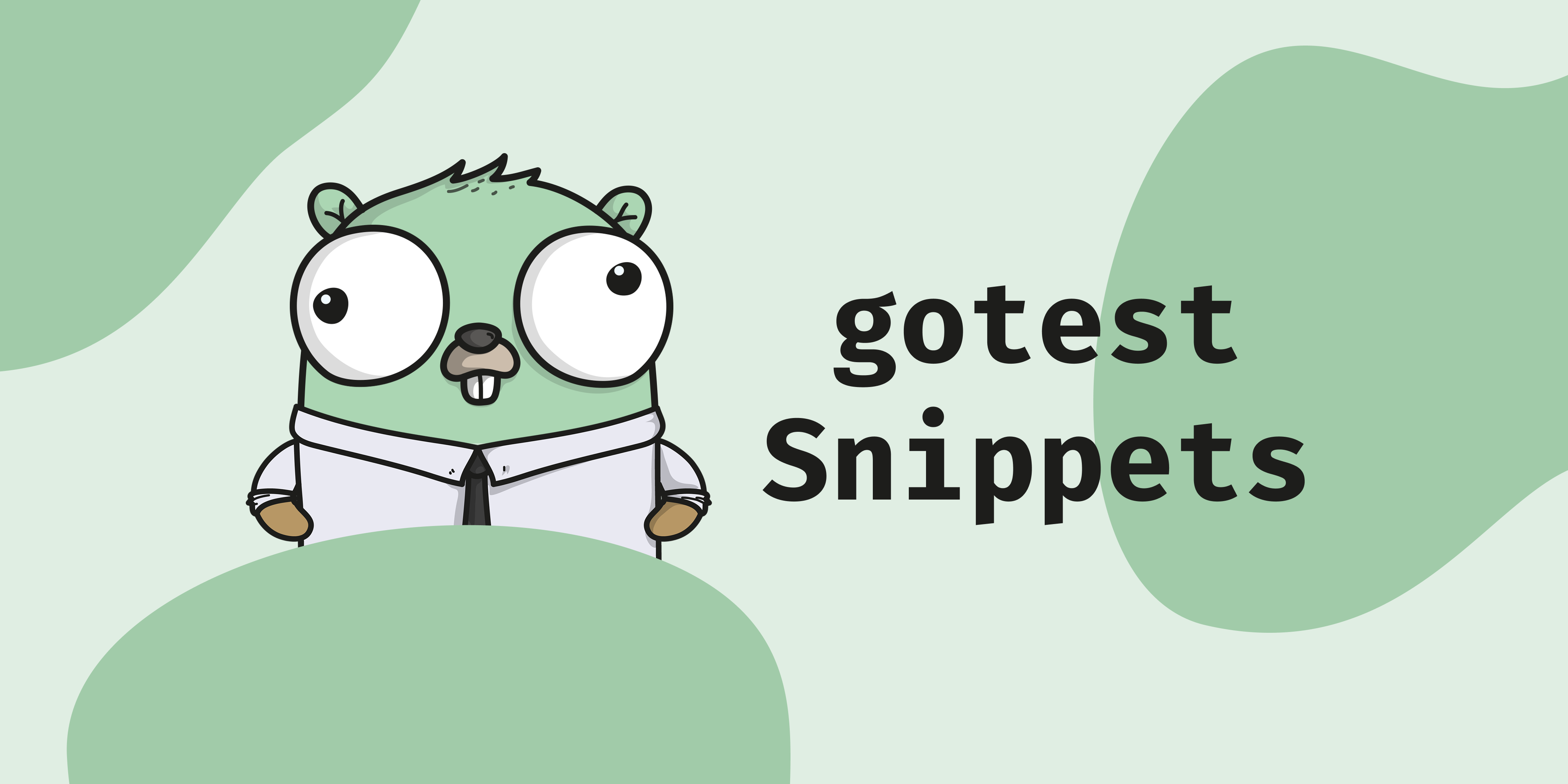 GitHub - gauntface/gotest-snippets: VSCode extension will make it a ...