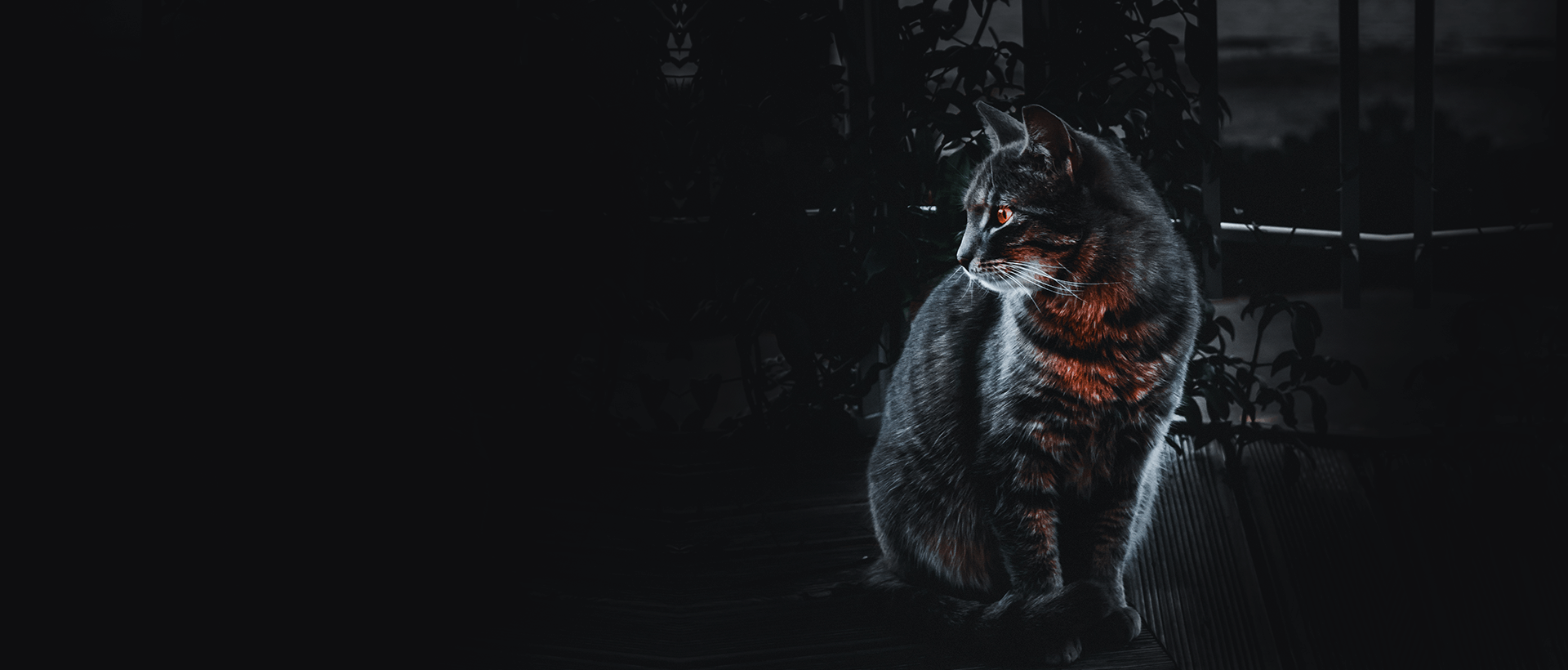 GitHub - Raigyo/nest-js-todo: NestJS - A progressive Node.js framework ...