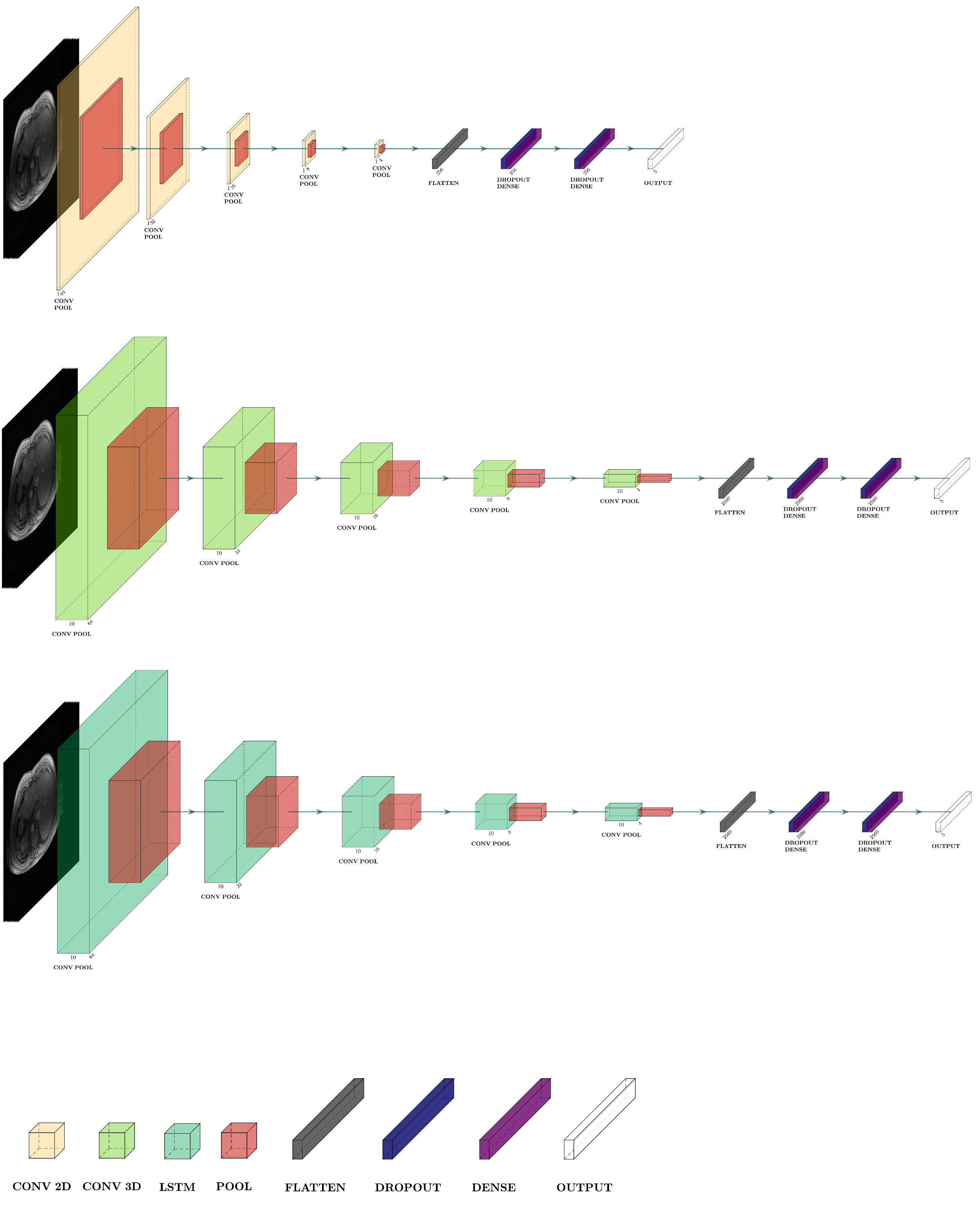 GitHub - vincenzopositano/Hippo-Net-Liver: DEEP LEARNING STAGING OF ...