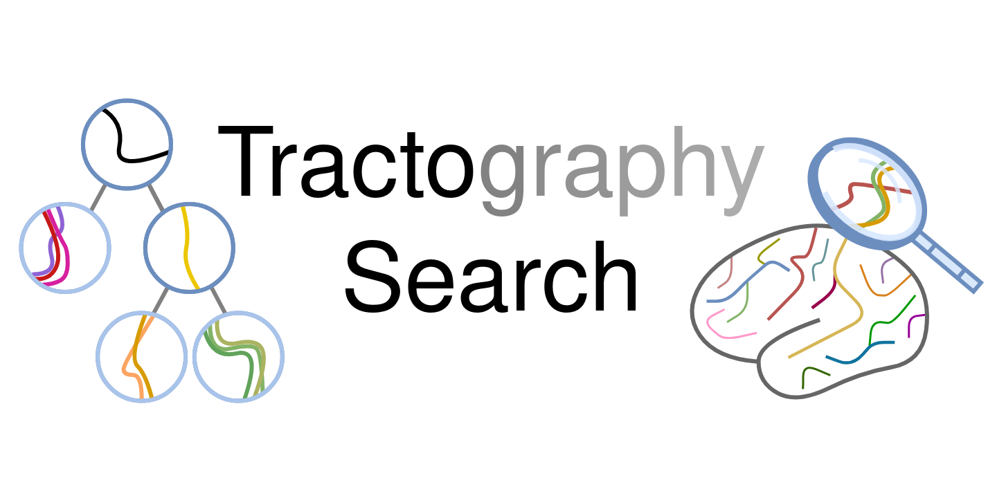 GitHub - StongeEtienne/tractosearch: Fast Tractography Streamlines Search